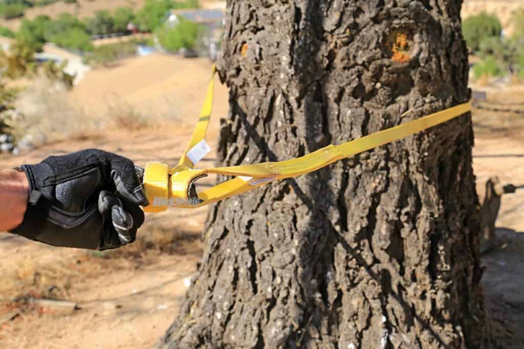 Les meilleurs treuils du moment en octobre 2025