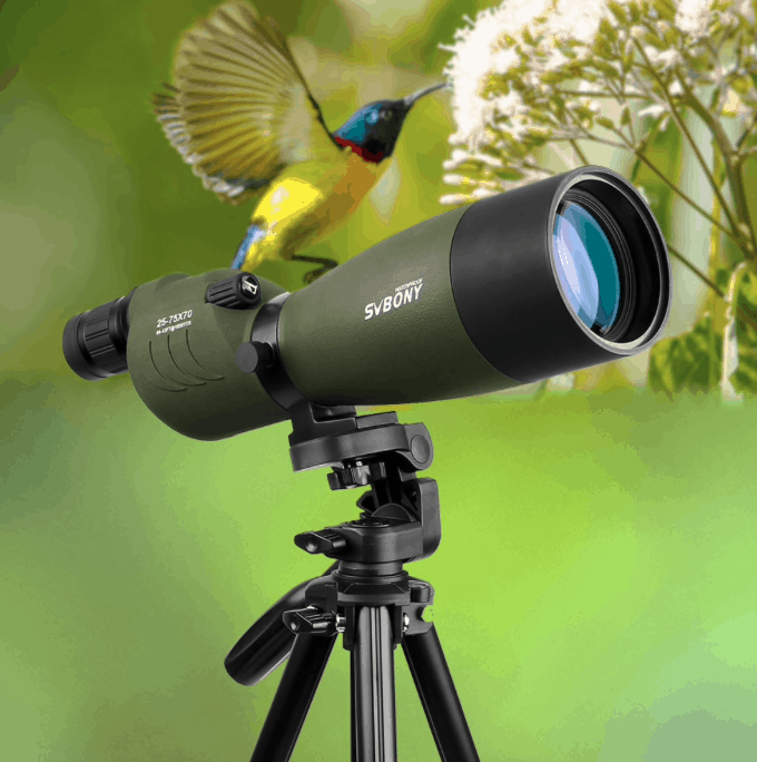 Les meilleures longue vues du moment en décembre 2025