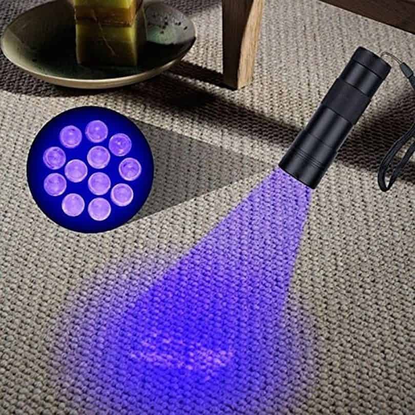 Les meilleures lampes UV du moment en octobre 2025