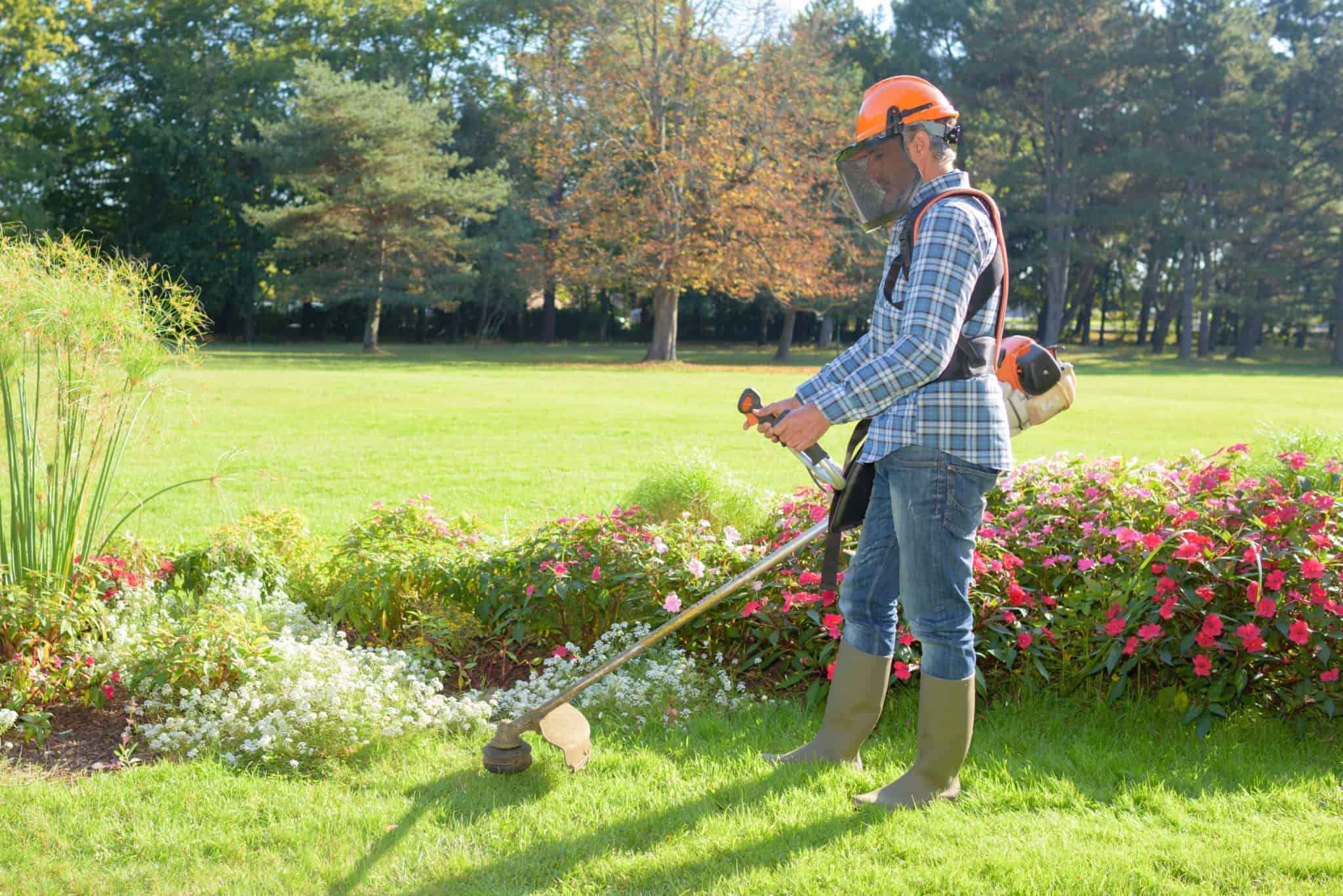 Meilleure débroussailleuse électrique : le comparatif en septembre 2025