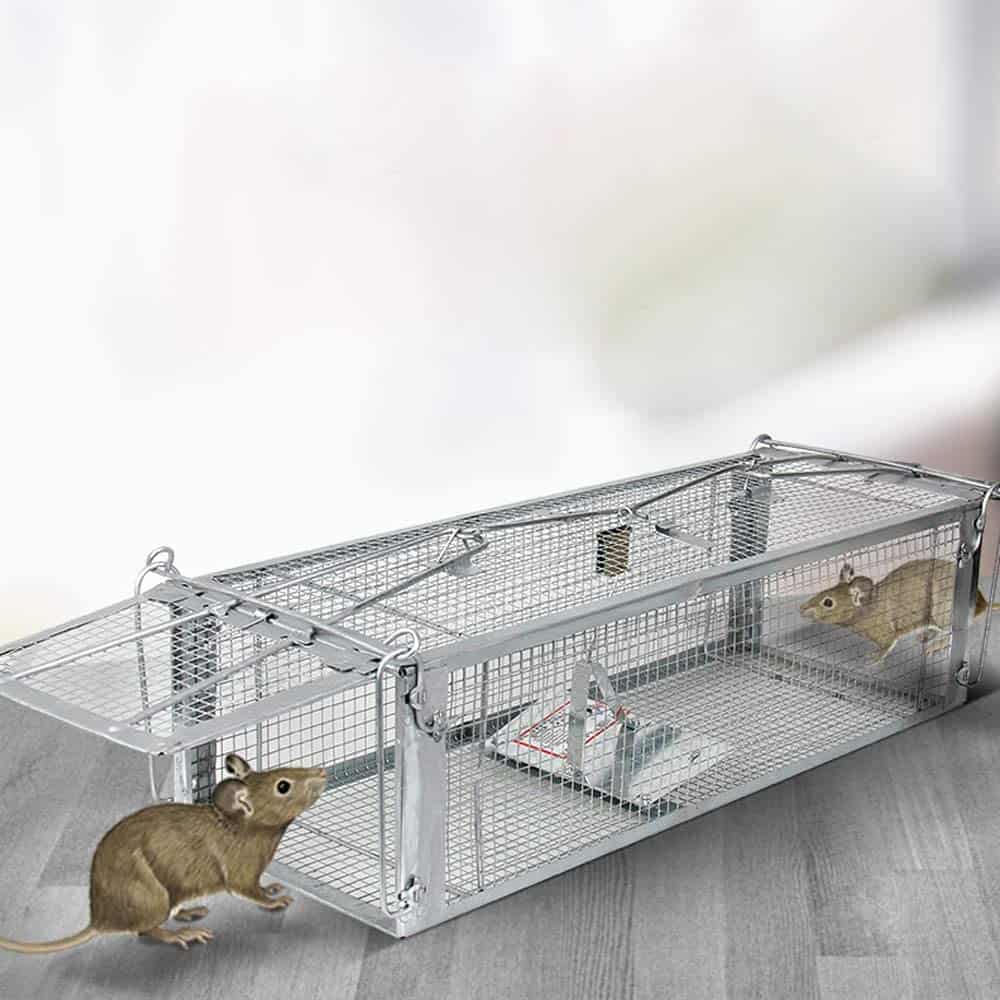 Piège à rats : quel modèle choisir ? en décembre 2025