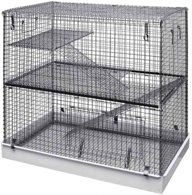Cage Pour Un Rat